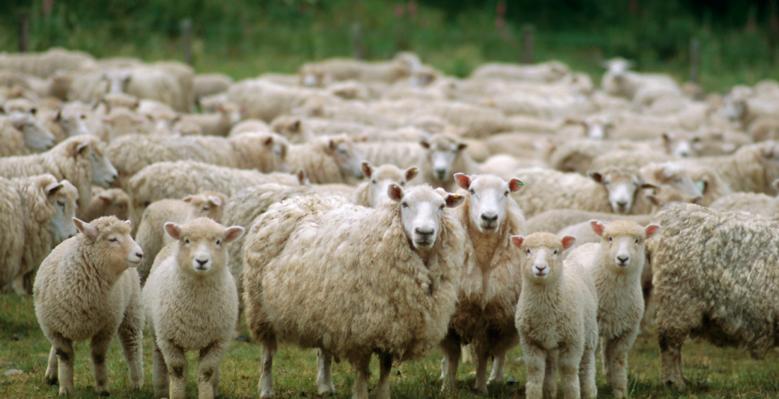 Social Media and the New Twitter | obsessed with conformity